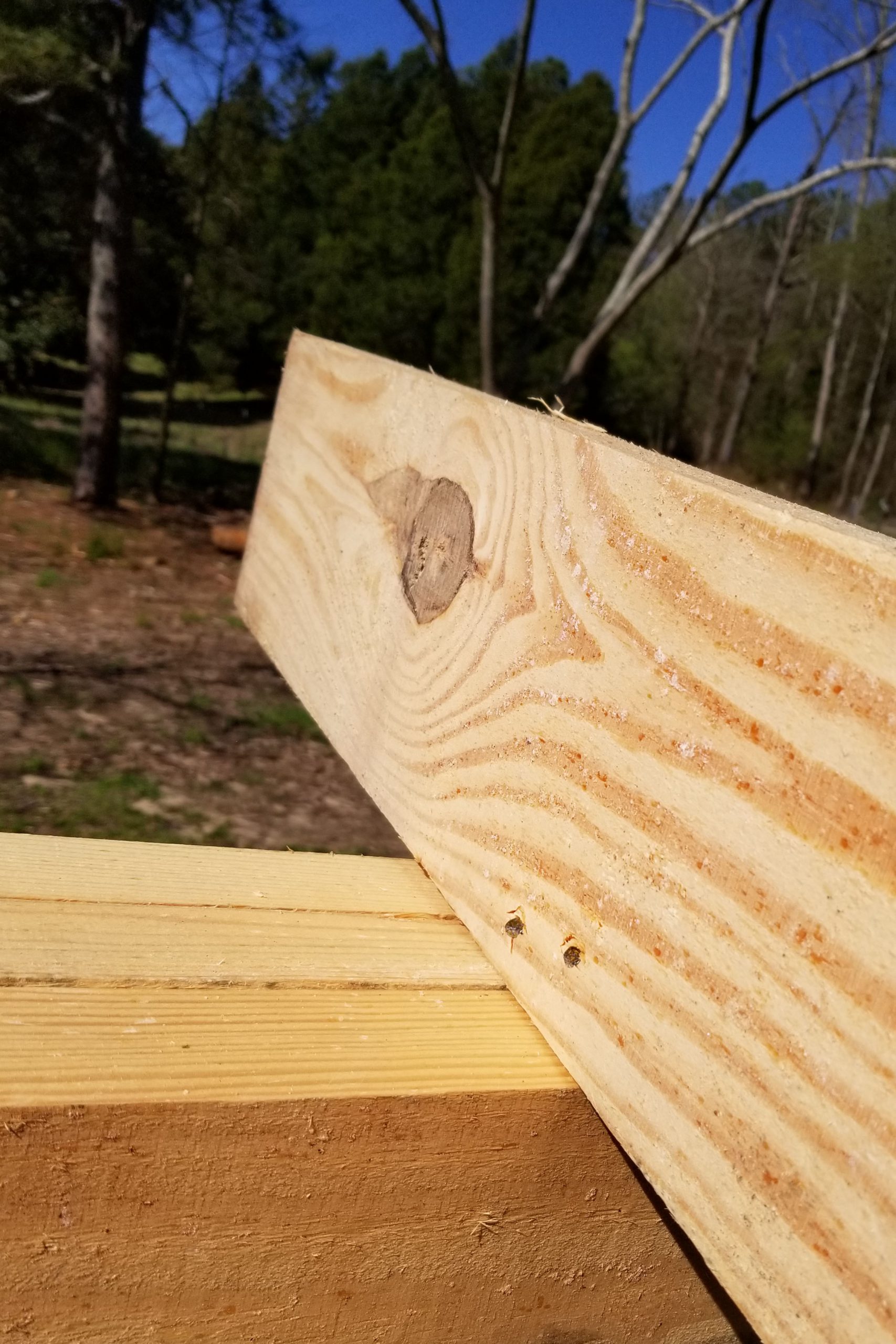 Rafter Bearing and Anchorage – Wood Engineering