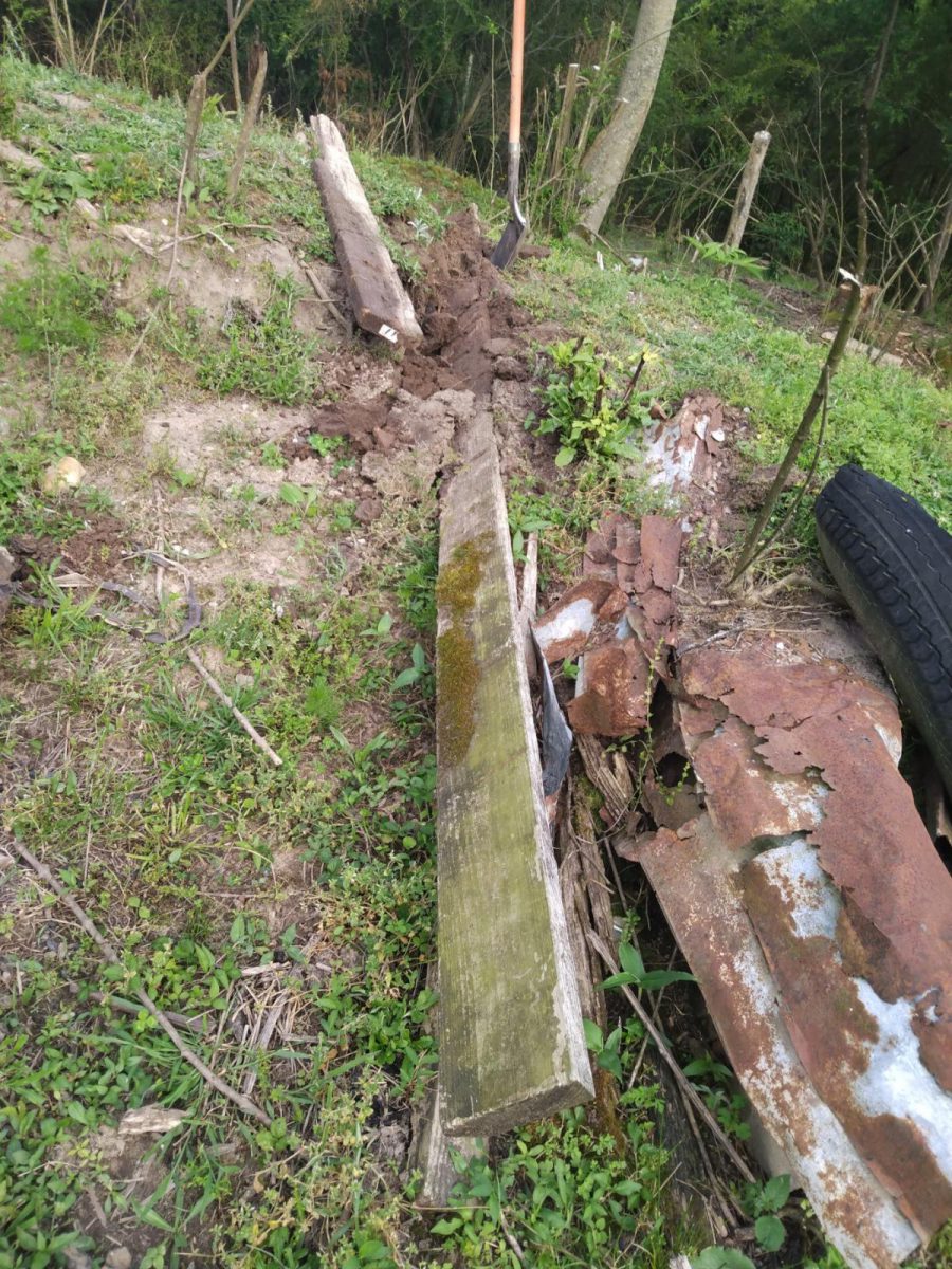 NLT `Mass Timber’ Step – Wood Engineering