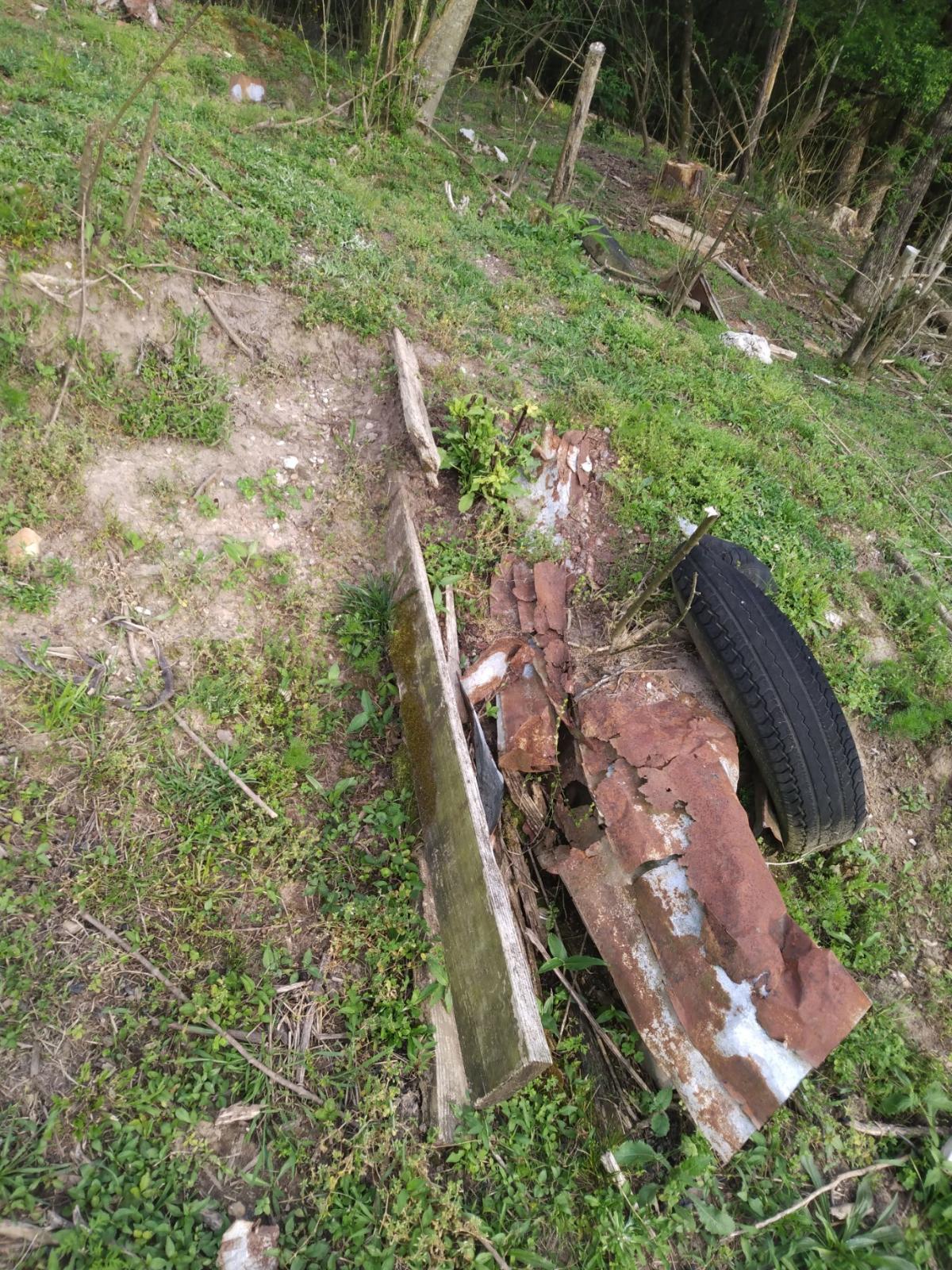 NLT `Mass Timber’ Step – Wood Engineering